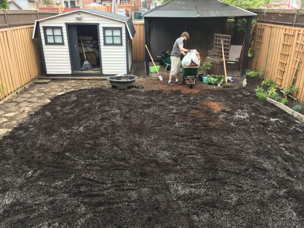 DIY Backyard Remodel | How To Grow Grass From Seed In Your Yard ...