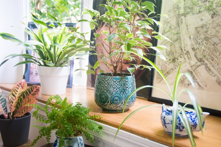 The Eclectic Living Room – Eclectic Spark