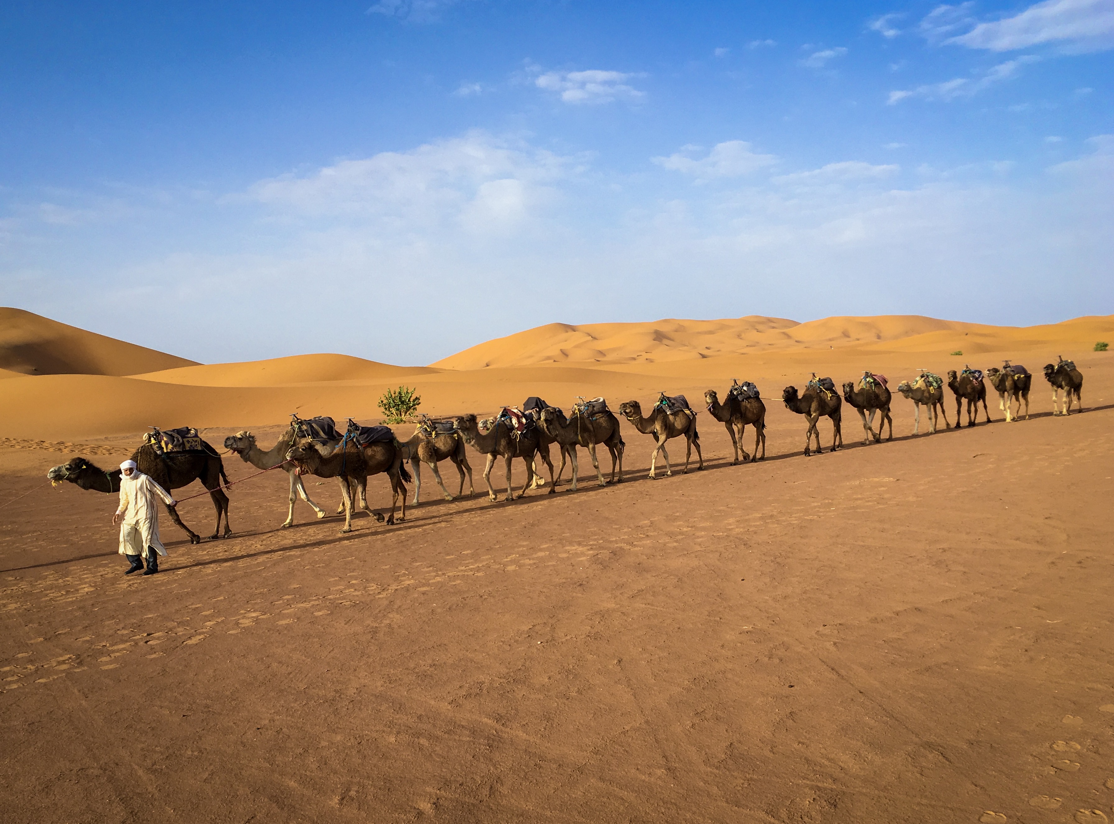 Travelogue | Morocco & The Sahara Desert – Eclectic Spark
