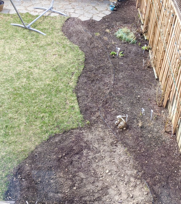 The Backyard Border Garden Part 2: Designing & Transplanting – Eclectic ...