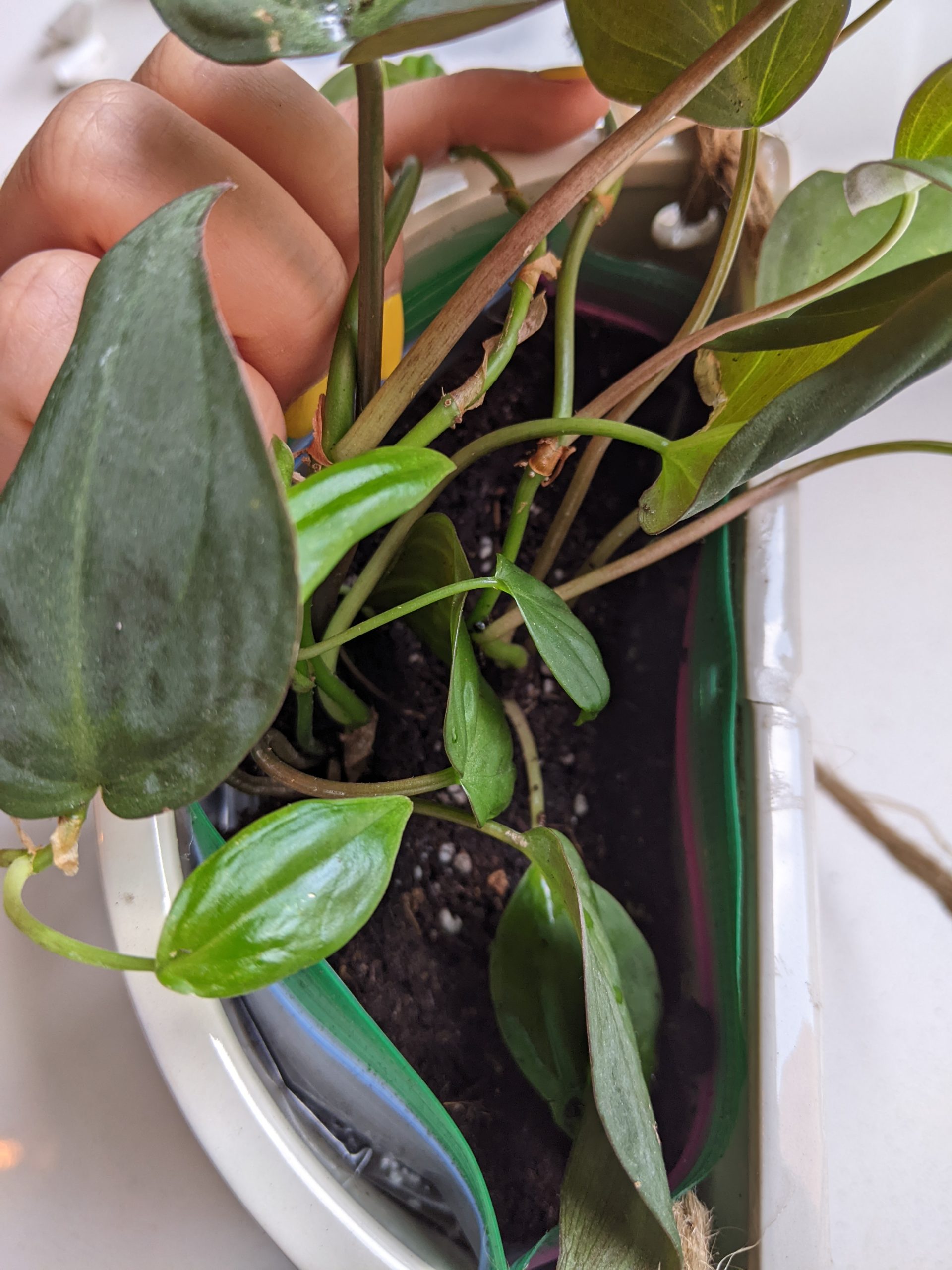 Fixing A Broken Planter, Faux Kintsugi Style – Eclectic Spark