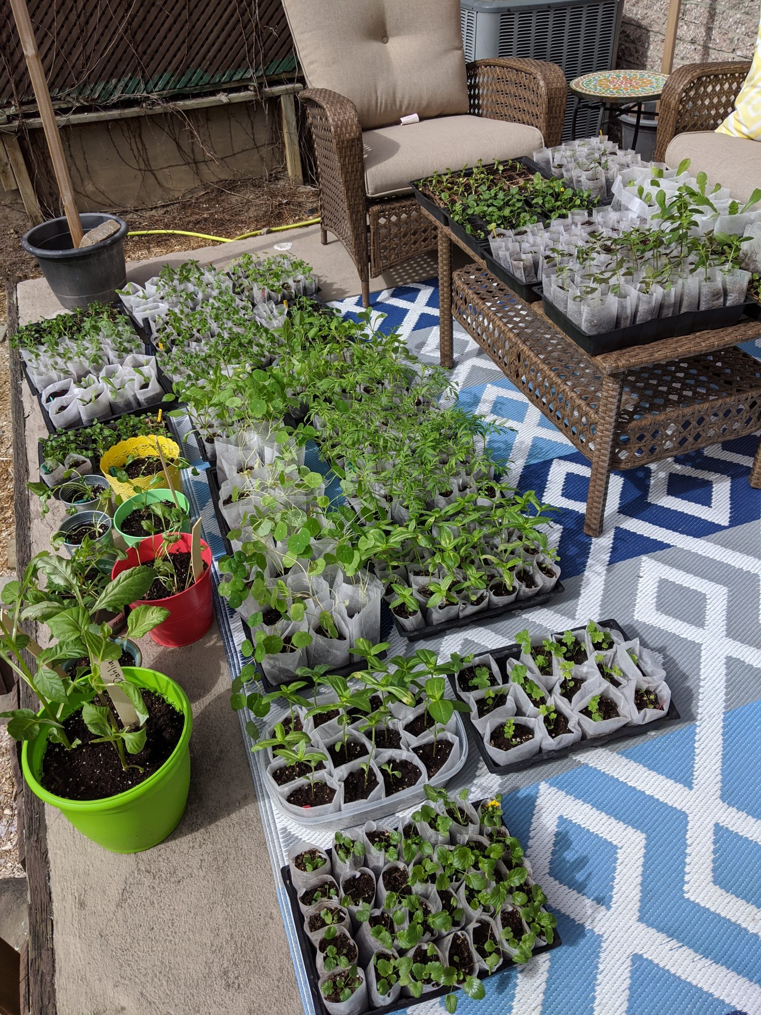 DIY Backyard Remodel | The Flower Garden – Eclectic Spark