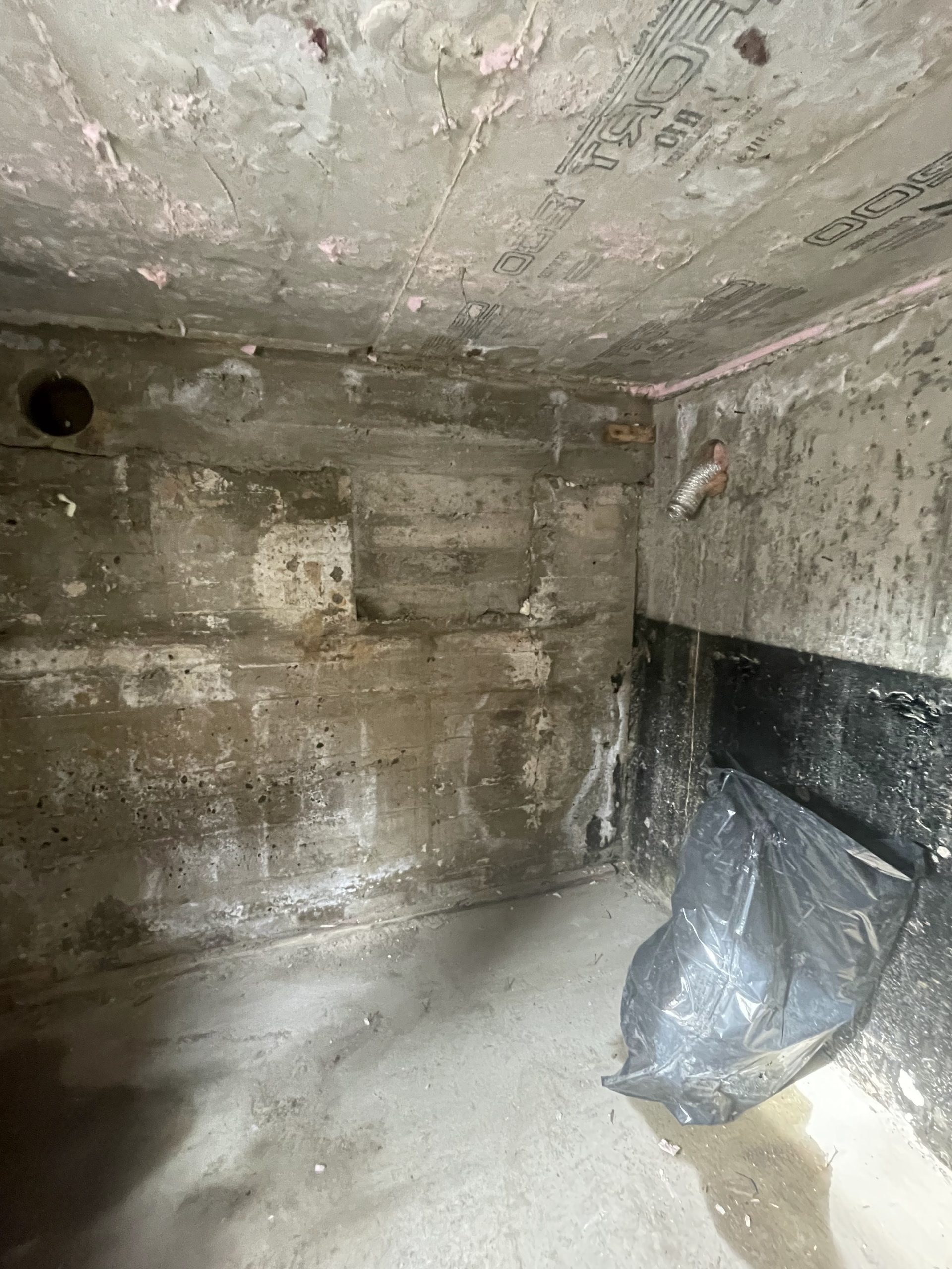 Basement Bathroom/Laundry Room Makeover – Eclectic Spark